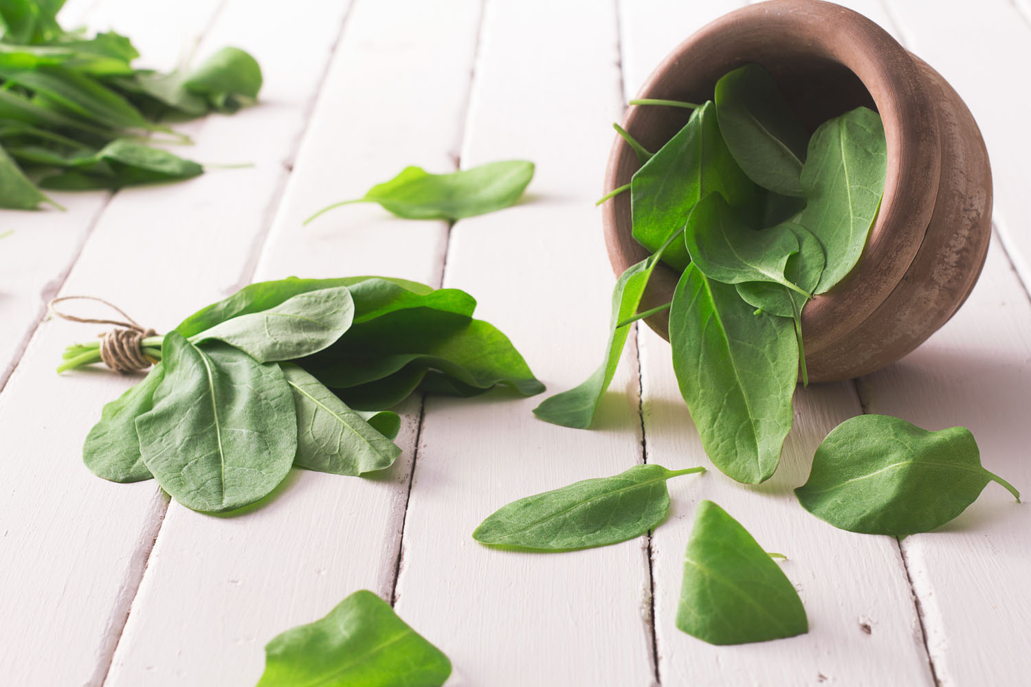 Acedera - Florette Food Service