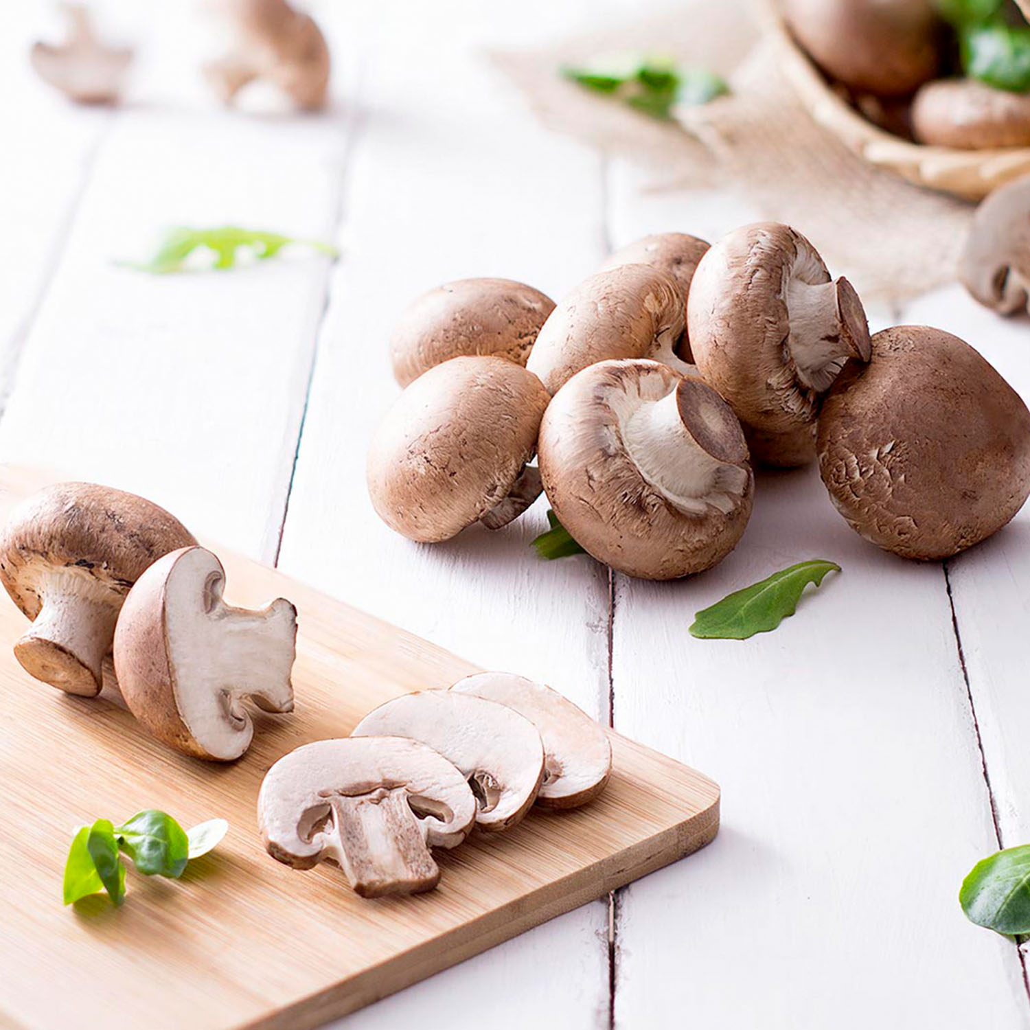 Descubre todo sobre el champiñón - Florette Food Service