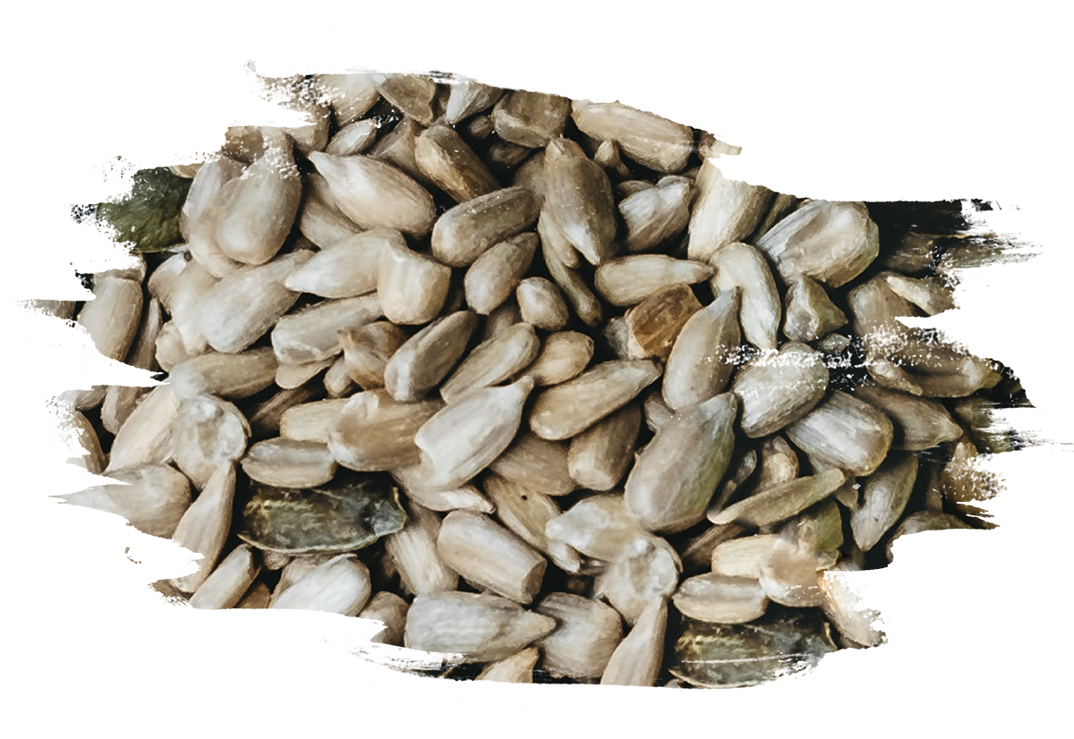 Descubre todo sobre las pipas - Florette Food Service