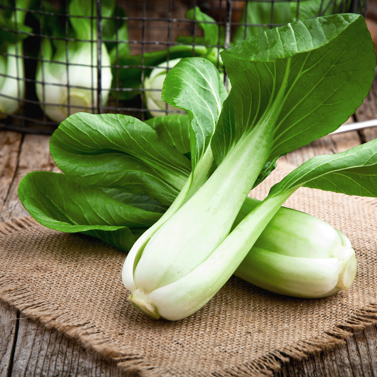 Pak Choi - Florette Food Service